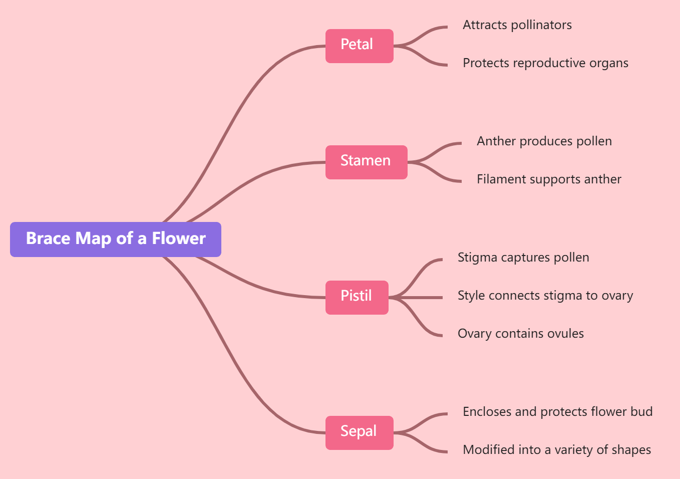 Free Mind Map Template: Brace Map of a Flower