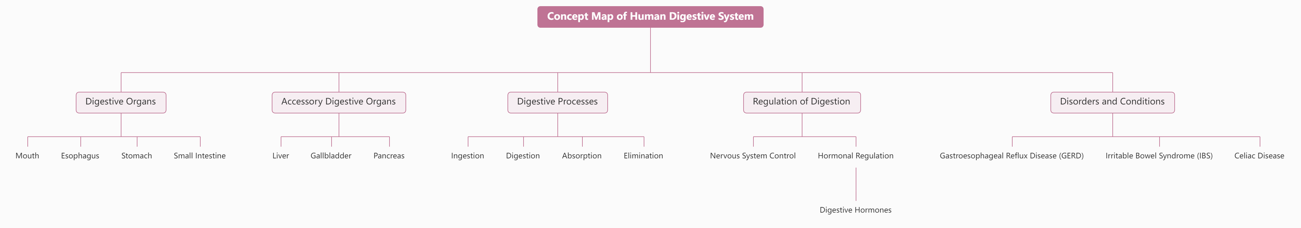 Free Mind Map Template: Concept Map of Human Digestive System