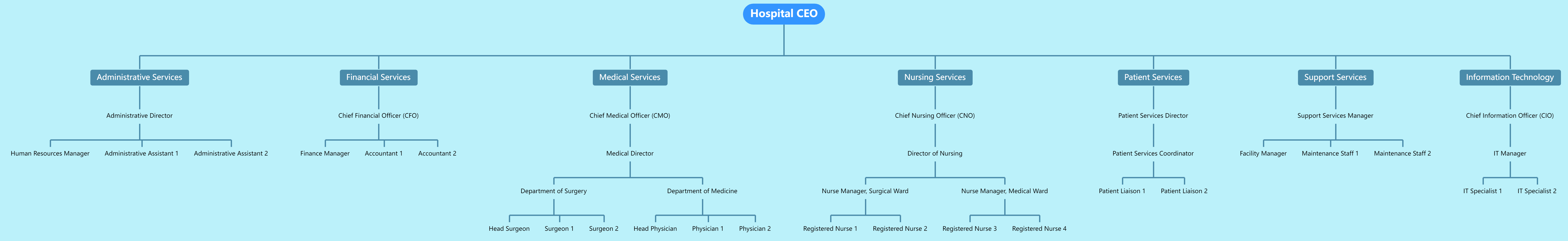 Free Mind Map Template: Organizational Chart of Hospital