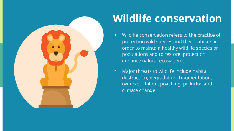 Presentation Template: Understanding conservation