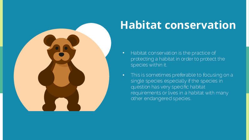 Presentation Template: Understanding conservation