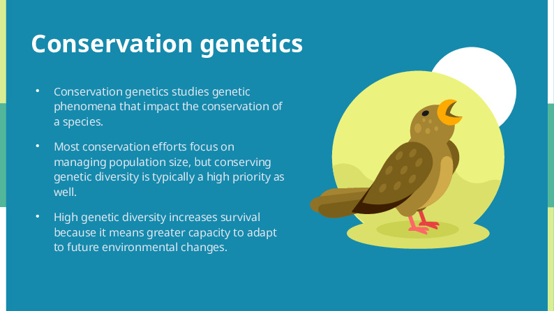 Presentation Template: Understanding conservation